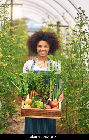 Young female farmer harvesting fresh savoy cabbage Stock Photo - Alamy
