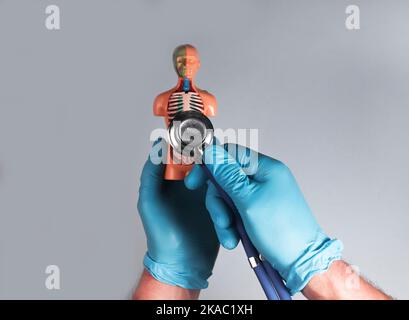 Listening to skinless human body 3d model with circulatory and muscular ...