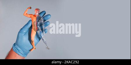 3d skinless human body model with blood circulatory and muscular ...