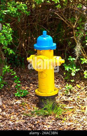 An American water hydrant in Savannah, Georgia Stock Photo - Alamy