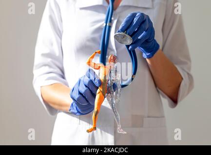 Listening to skinless human body 3d model with circulatory and muscular ...