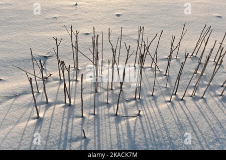 shadow of halm on snow covered field gives a harmonic structure Stock ...