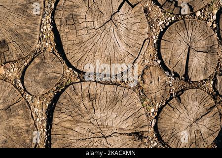 the old path is laid out of round wooden sections. Background of wooden ...