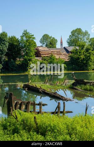 Landscape along the cycleway of Sile river in Venice province, Veneto ...