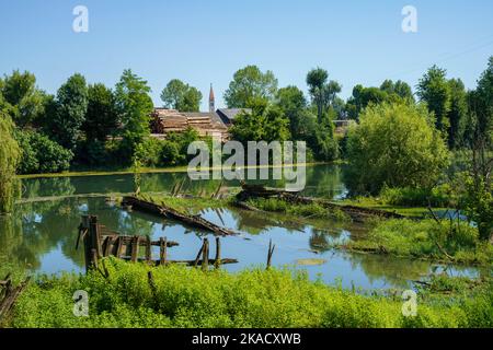 Bird along the cycleway of Sile river in Venice province, Veneto, Italy ...