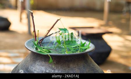 Medicinal Neem leaves, and branches on jute fabric conceptual ...