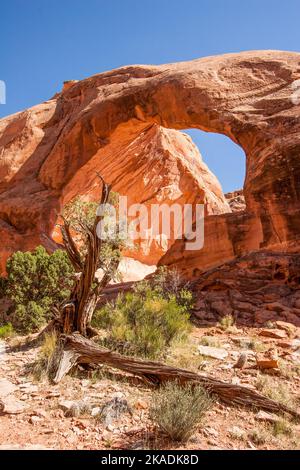 Funnel Arch, also known as Cable Arch, is an Entrada sandstone arch in ...