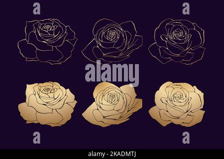 Roses hand drawing engraved. A blossoming rosebud. Golden vector ...