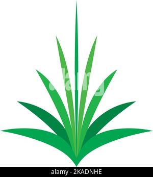 agave icon Vector symbol or sign set collection in black and white ...