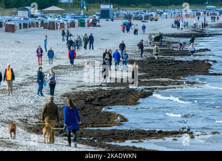 Binz, Germany. 23rd Sep, 2022. The 230-meter-long cargo ship ...