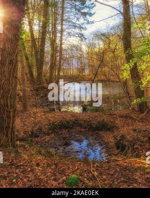 Vertical shot of a calm lake surrounded by trees and grassy mountains ...