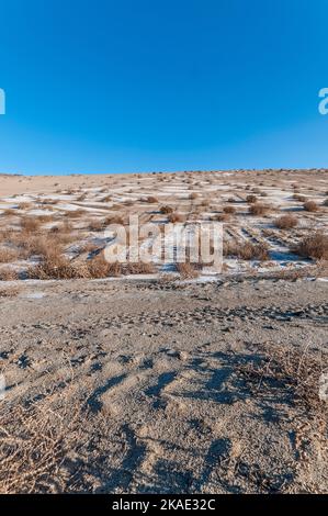 Tire and tread tracks are quite evident in the soil of an active solid ...