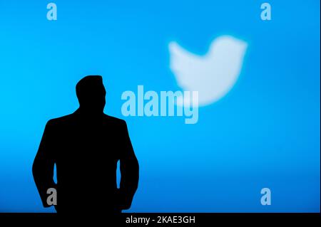 Silhouette of Elon Musk in front of blue banner with Twitter logo in ...