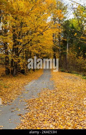 Country Road Cabot Vermont Stock Photo - Alamy