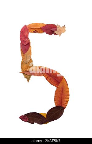 number 1 autumn leaves isolate on white background Stock Photo - Alamy