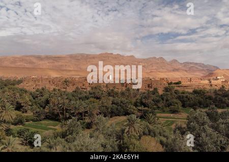 A view of the Tafilalet Oasis and the town of Erfoud in Morocco Stock ...