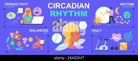 Circadian rhythm infographics with daily routine and balanced diet ...