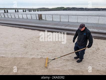 Maintenance workman raking sand on urban beach, Dundee Waterfront or ...