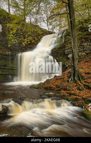 Scaleber Force is a 40 foot high waterfall on Stockdale Beck, near to ...
