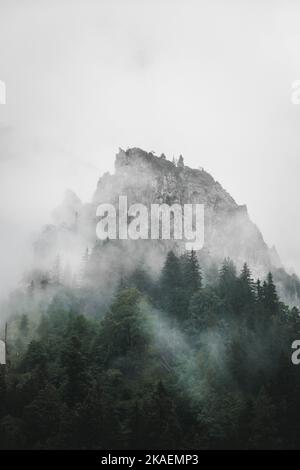 A mesmerizing vertical shot of a forested mountain covered in mist ...