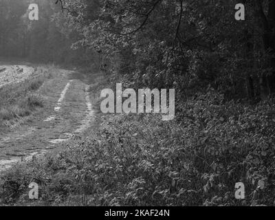 the vechte river in gemrany Stock Photo - Alamy