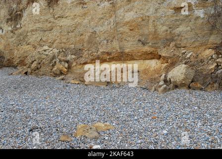 Marine fossil with shingle Stock Photo - Alamy