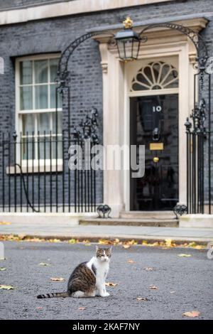 Larry the famous cat outside Number 10 Downing Street with the ...