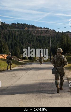 U.S. Army Southern European Task Force, Africa (SETAF-AF), held a Town ...