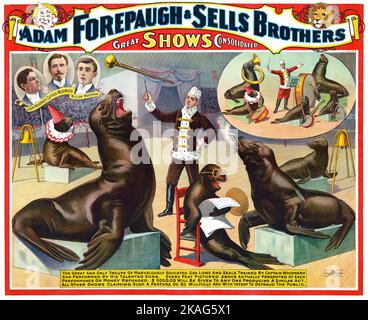 Circus poster by Adam Forepaugh & Sells Brothers great shows ...