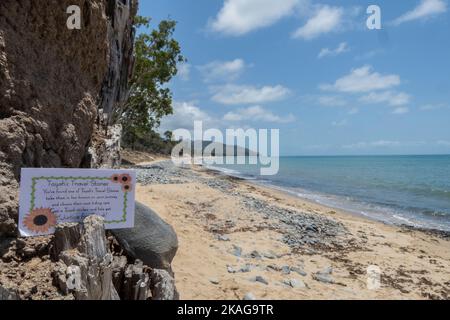 The scene at Wangetti Beach near Cairns in North Queensland where Toyah ...