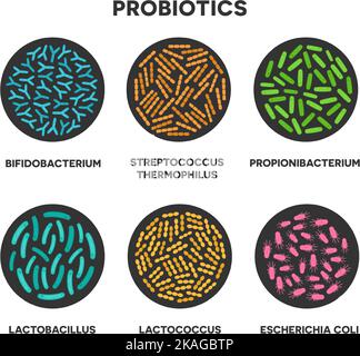 Probiotics in a circle. Good bacteria and microorganisms. Bifidobacterium, lactobacillus ...
