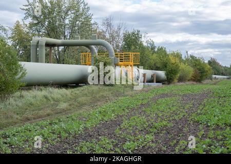 Transportation of natural gas through gas pipelines. View of pipe at ...