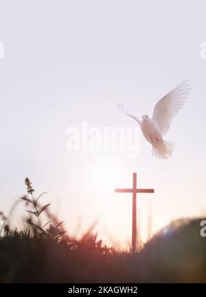 The sunset forest white dove and the holy cross of Jesus Christ symbolize death and resurrection ...