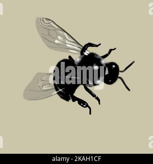 graphic engraving. Graphic bee. Realistic ink bee. honey bee Stock ...