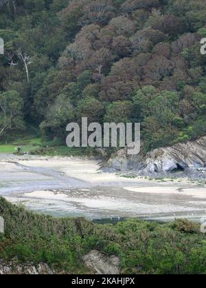 Polridmouth Cove, Cornwall, England, UK Stock Photo - Alamy