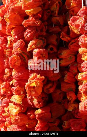 Organic dried sweet bell pepper. Dried peppers hanging in a close-up of ...