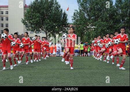 Harbin, China's Heilongjiang Province. 14th Apr, 2016. Siberian tigers ...