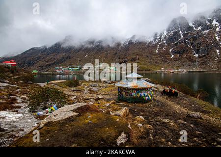 A yak decorated in dress and bells near Tsomgo Lake on top of snowy ...