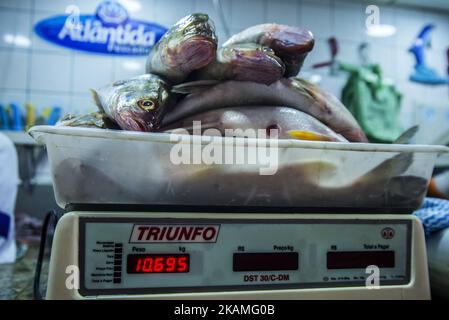 Intense movement of consumers in search of fish in the Fish Market, in ...