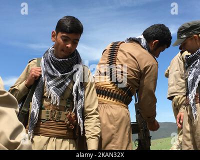 The Democratic Party of Iranian Kurdistan (Kurdish: Parti Demokiratî ...