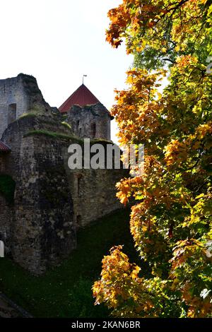 old castle in yellow trees autumn landscape Stock Photo - Alamy