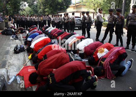 Indonesian peoples held a rally as a form of solidarity for the ...