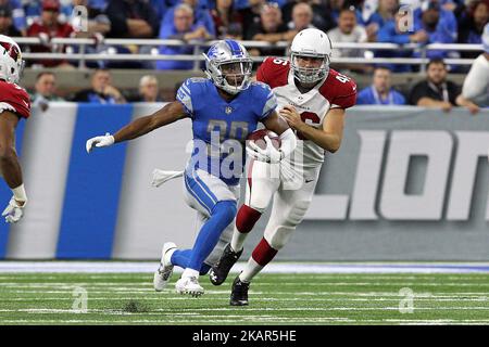 Arizona Cardinals long snapper Aaron Brewer (46) before an NFL football ...