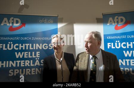 Main candidates for the federal elections of right-wing Alternative ...