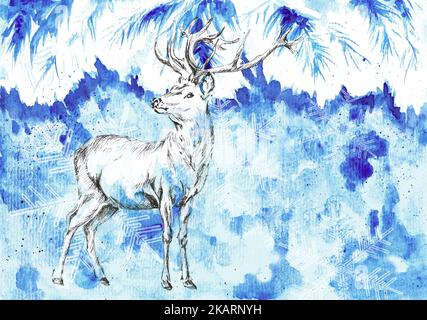 Pencil (ink) drawing of a red deer (Cervus elaphus). Hand drawn black ...