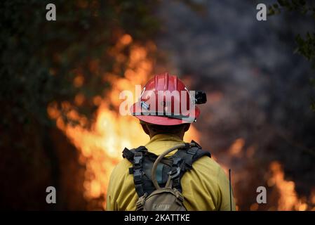 A firefighter keeps watch as the Thomas wildfire burns near Carpinteria ...