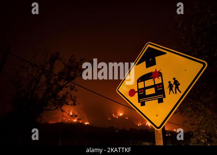 The Thomas wildfire burns in Carpinteria, California on December 11 ...
