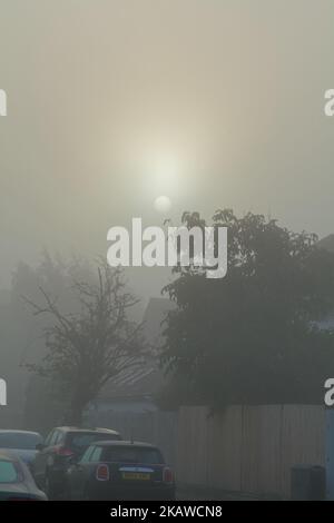 Sunrise through early morning autumnal fog over suburban houses in ...