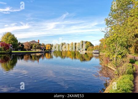 The riverside at Shepperton on a calm autumn day Surrey England UK ...