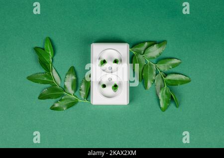 Electric socket framed with green leaves on a wooden background. Green ...